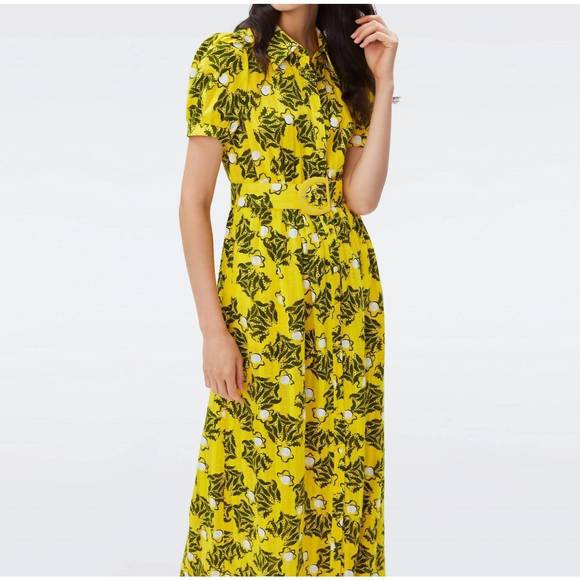 Diane Von Furstenberg | Dresses | New Diane Von Furstenberg Paddy ...